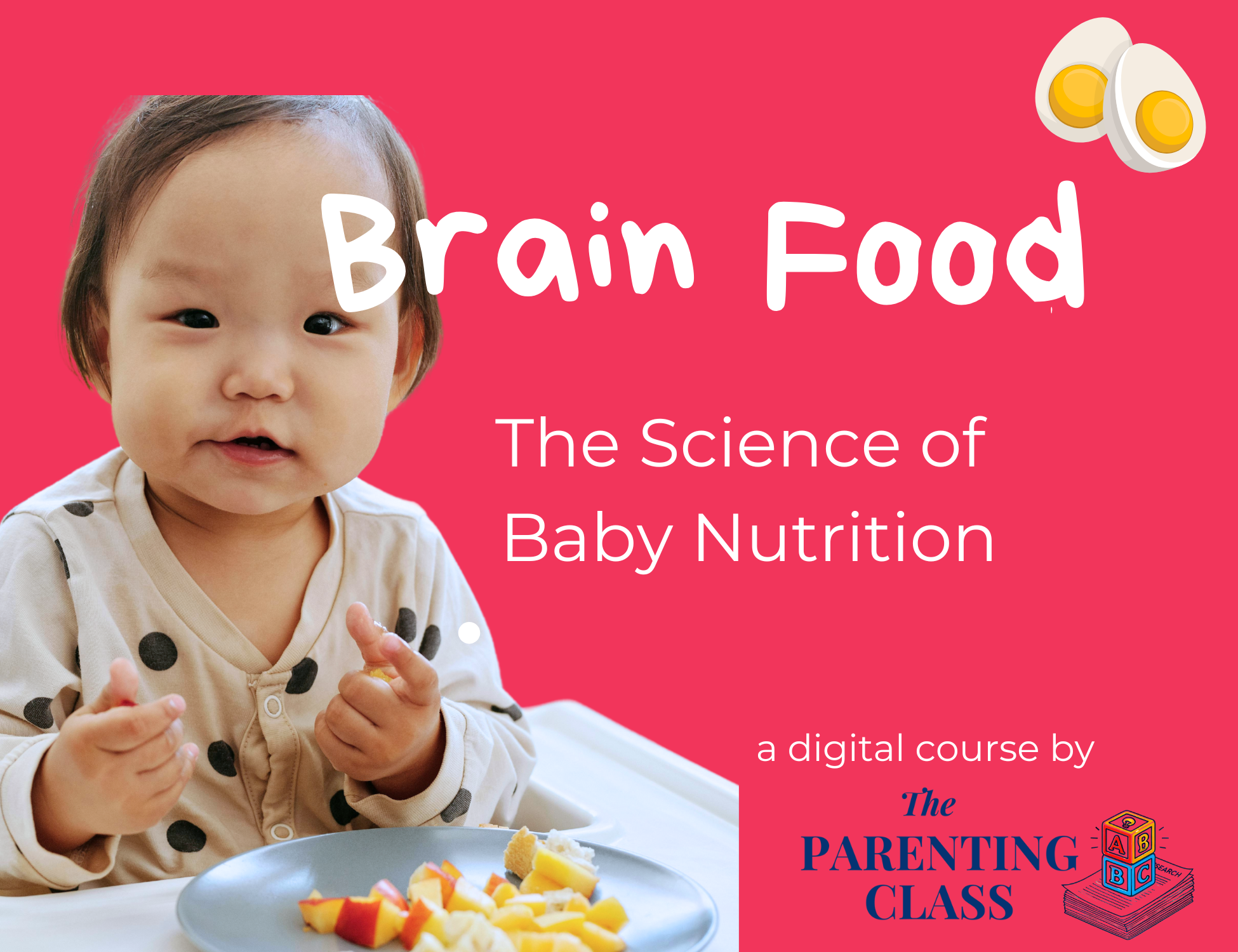 Brain Food - The Science of Baby Nutrition - The Parenting Class